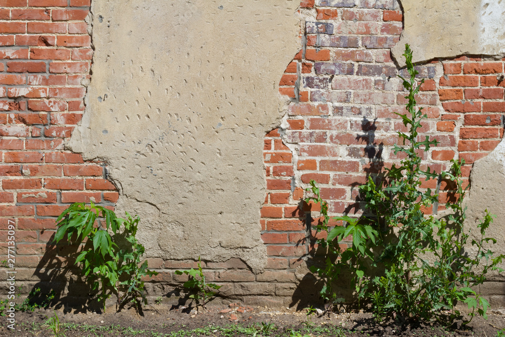 Old deteriorating building wall texture background with white concrete ...