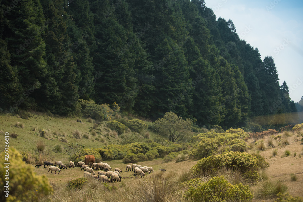 La Marquesa National Park, with the official name "Parque Nacional ...