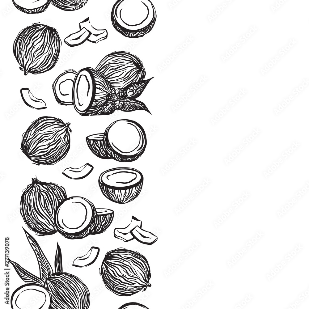 Hand drawn coconuts outline sketch vertical border. Vector black ink ...