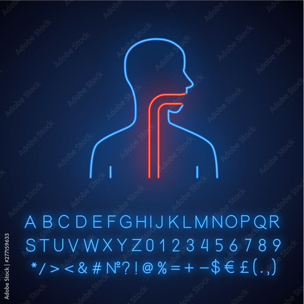 Healthy throat neon light icon. Oral cavity, pharynx and esophagus in ...