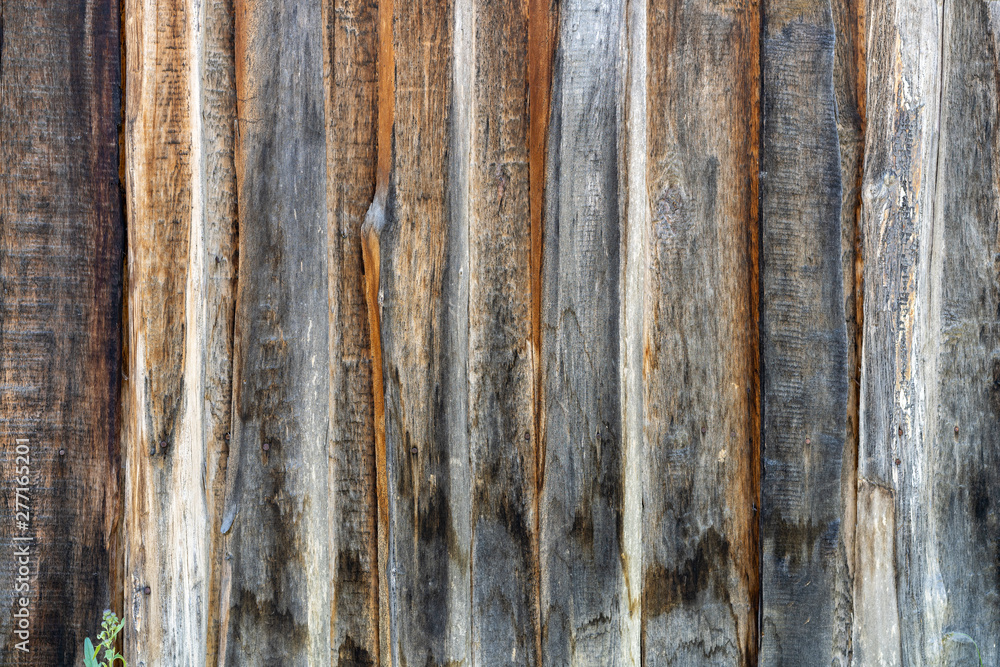 fence from slab. The wall of the wooden slab. Dwelling for the poor ...