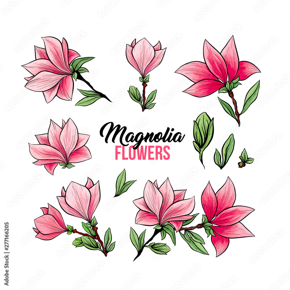 Pink Flower Outline Clipart