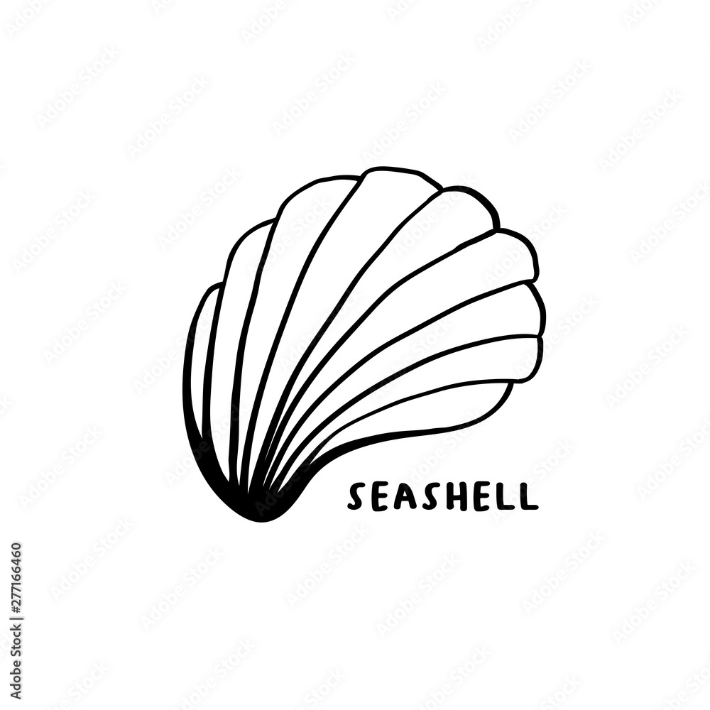 Angular murex seashell hand drawn illustration. Seashore conch, mollusk ...