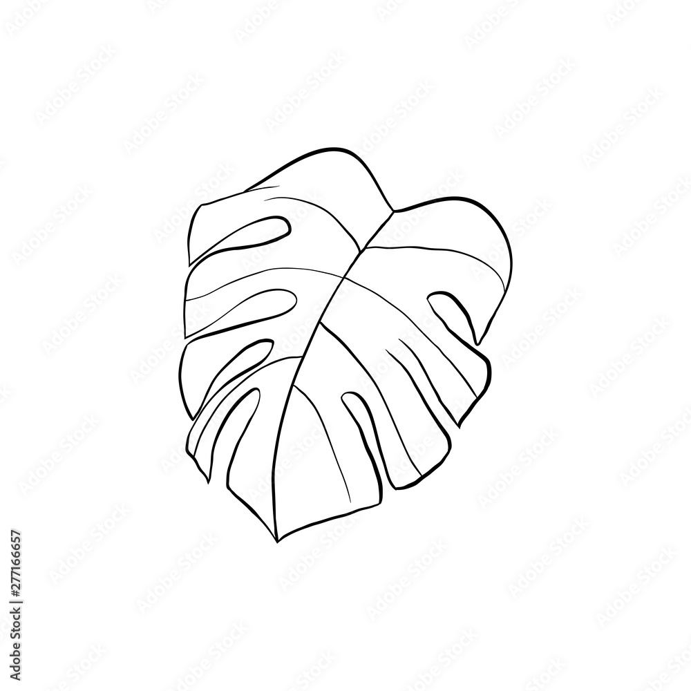 Philodendron plant line art illustration. Houseplant split leaf hand ...