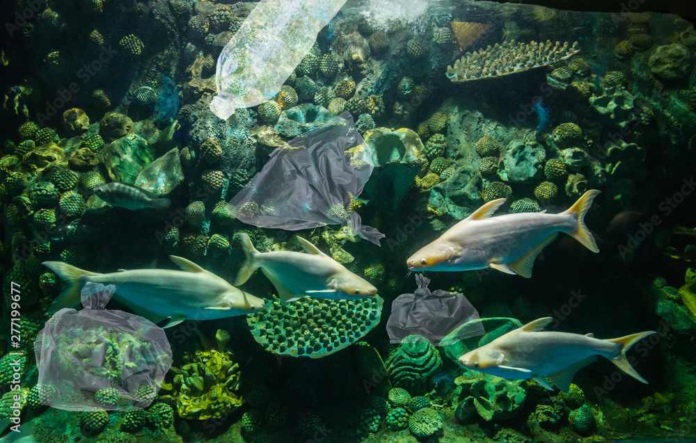 Plastic pollution and fish in ocean.environment conservation concept ...