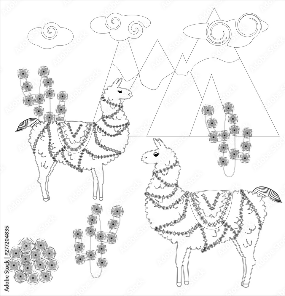 Coloring page of cartoon lama. illustration, coloring book for kids ...