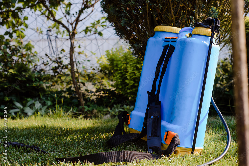Blue hand sprayer on the grass. The concept of taking care of plants in ...