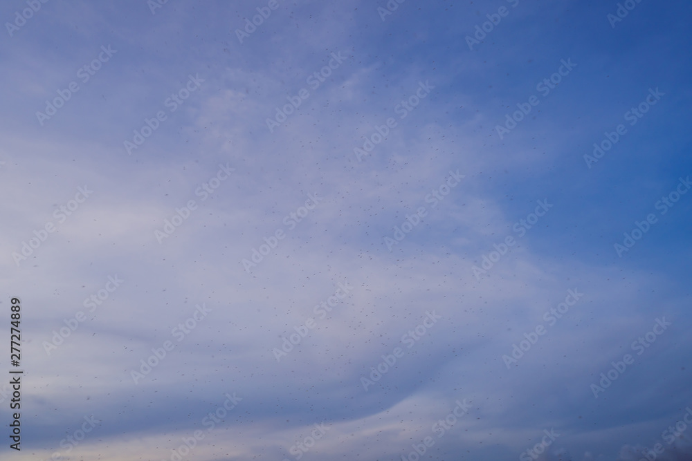 Swarm of gnats. Lots of mosquitoes and flies on blue sky background ...