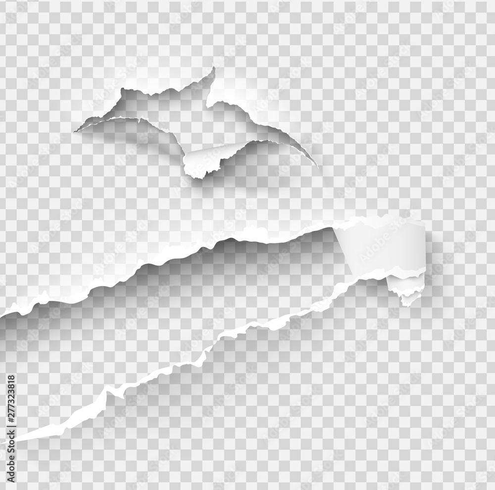 Torn ripped paper vector template, sides with ripped edges on realistic ...