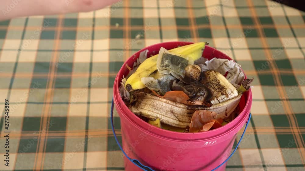 Zero waste. Composting organic kitchen waste and food scraps at home ...