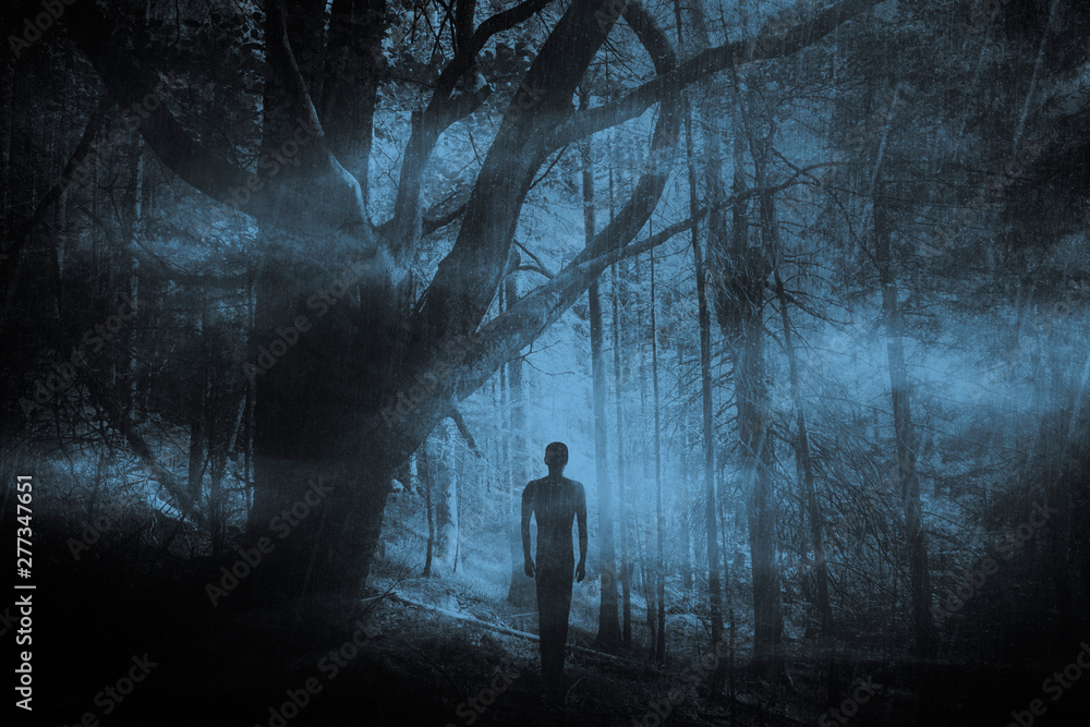 scary ghost in dark fantasy forest at night Stock Photo | Adobe Stock