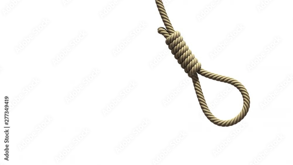 Hangman's noose on white background. A rope with a knot for suicide or ...