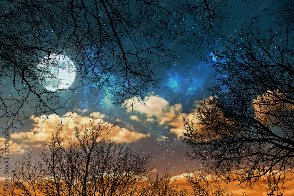 Moonlight Background With Trees