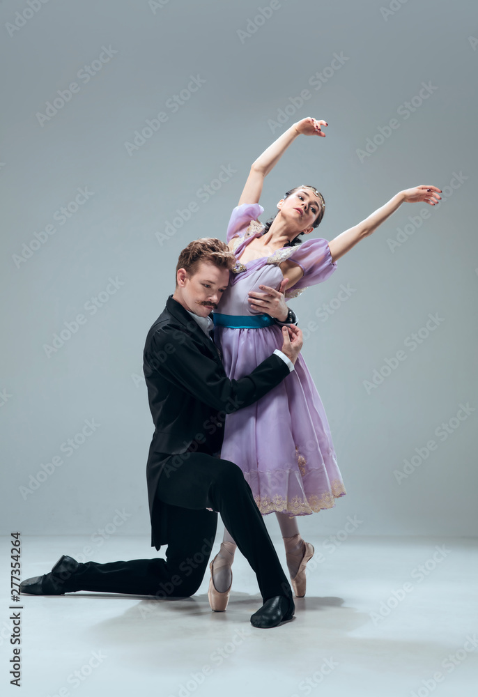 Spring blooming. Beautiful contemporary ballroom dancers isolated on ...