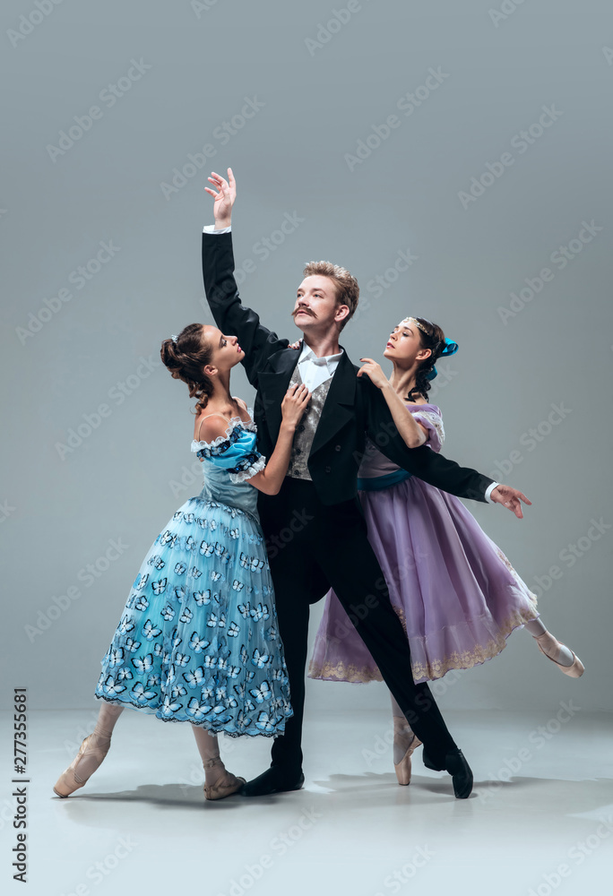 Beauty and grace. Beautiful contemporary ballroom dancers isolated on ...