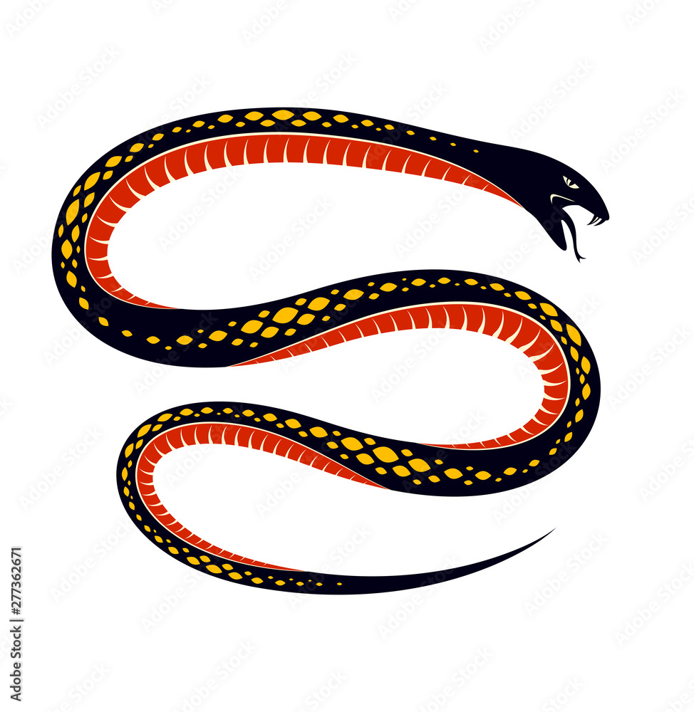 Venomous snake vintage tattoo, vector drawing of aggressive predator ...