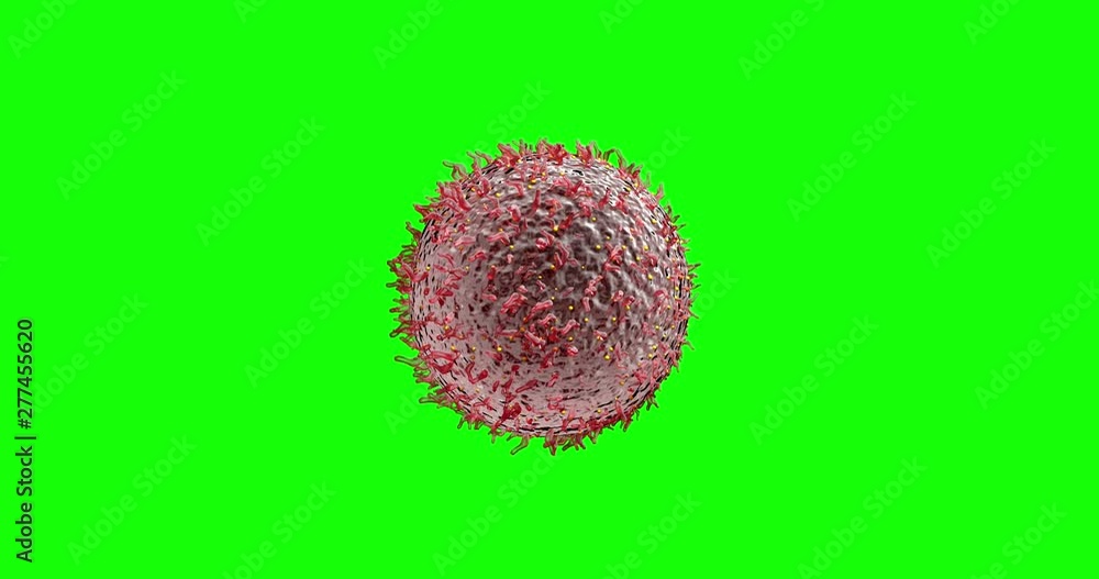 virus on green screen Cancer Cell on green screen Oncology Research ...
