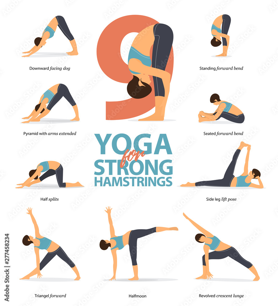 Infographic of 9 Yoga poses for strong hamstrings in flat design ...