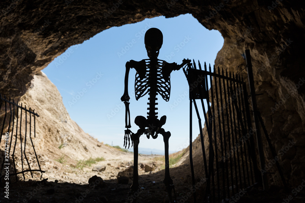 Skeleton silhouette in the mouth of a gated mine stay out stay alive ...