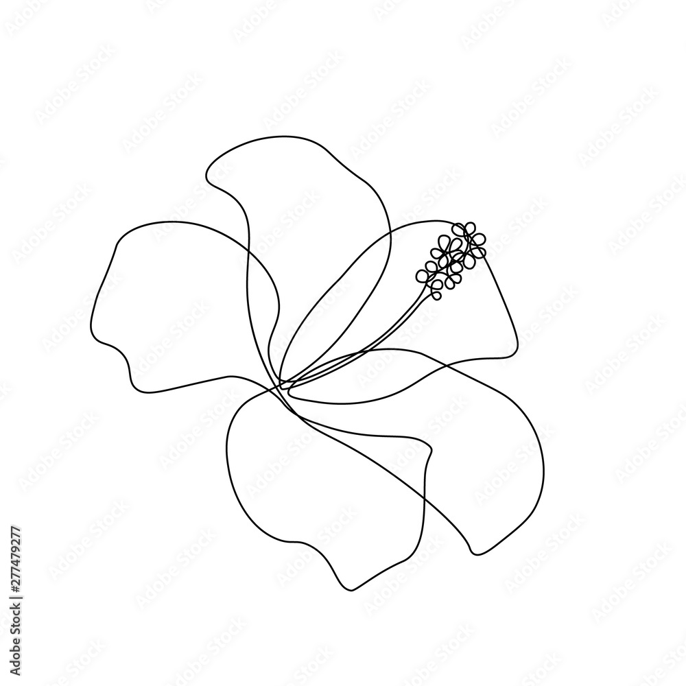 Hibiscus flower in one line art drawing style. Black line sketch on ...