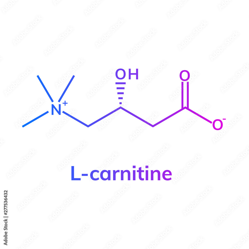 L-carnitine chemical formula on white background Stock Vector | Adobe Stock