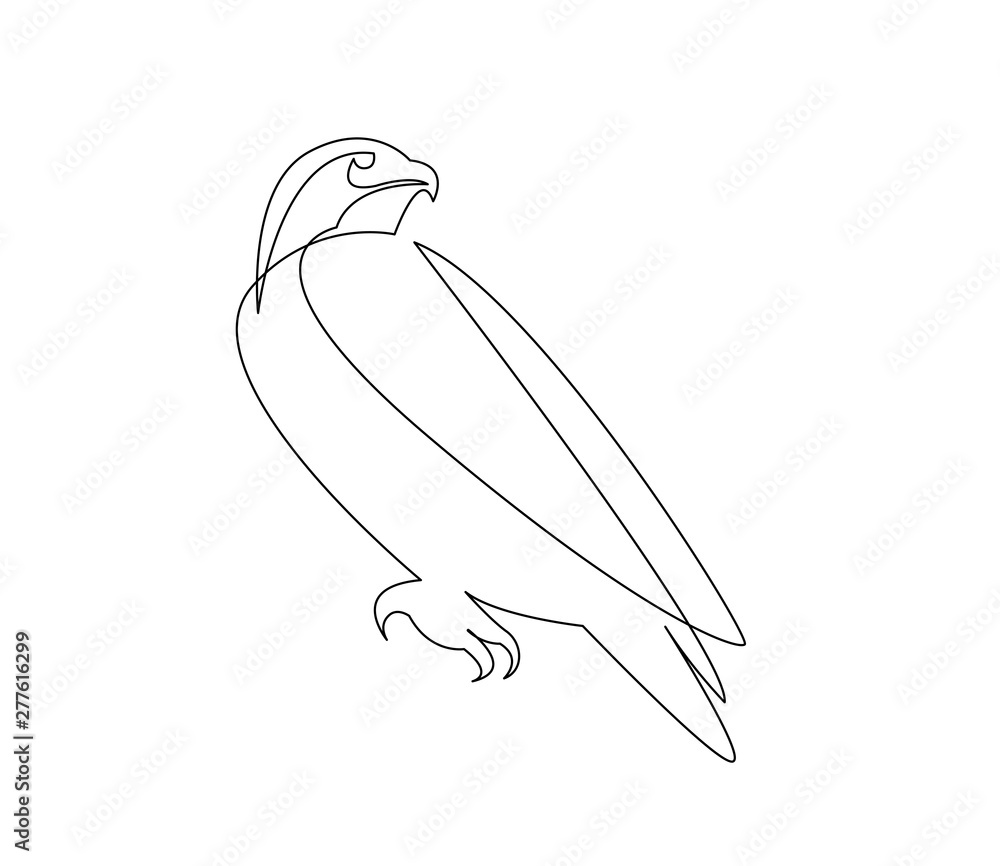 Falcon Beak Drawing