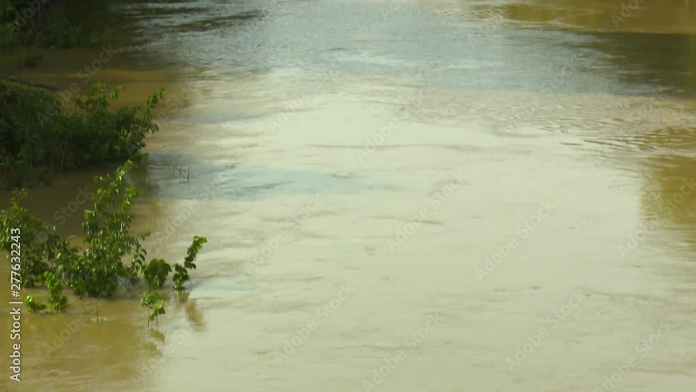 Vertical pan, African river with muddy water sinking into the jungle ...