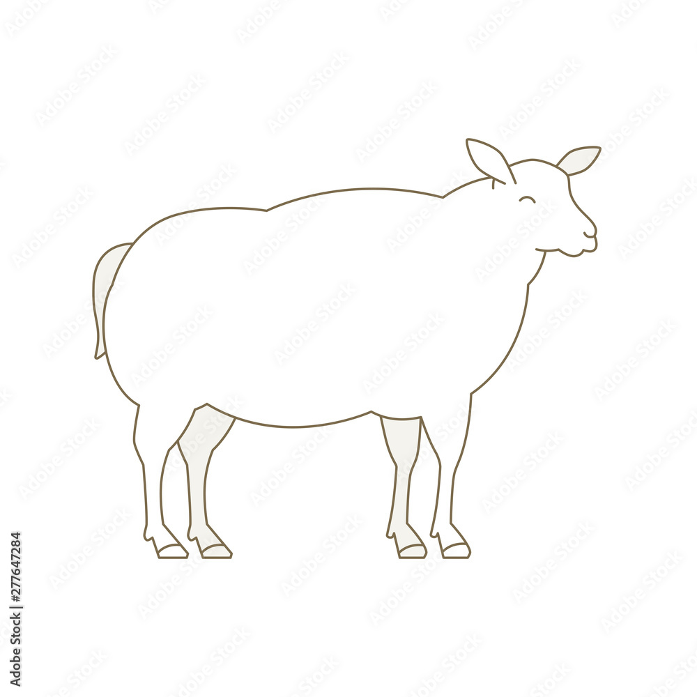 Sheep animal farm. Mutton breeding ewe. Wool lamb production. Yeanling ...