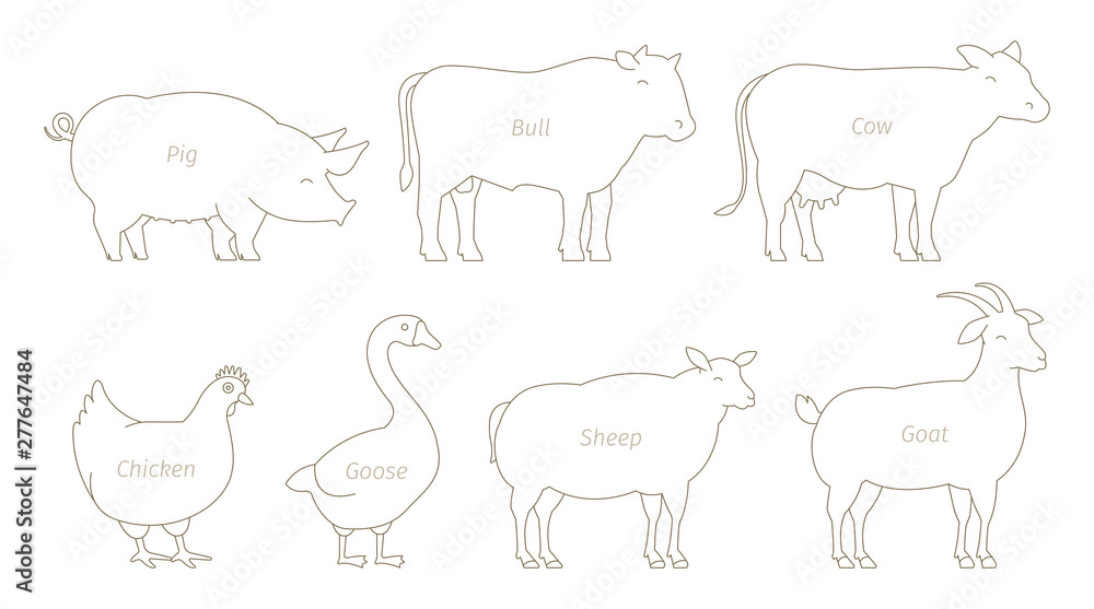 Farm Animal line set. Husbandry production. Cow and bull, duck and ...