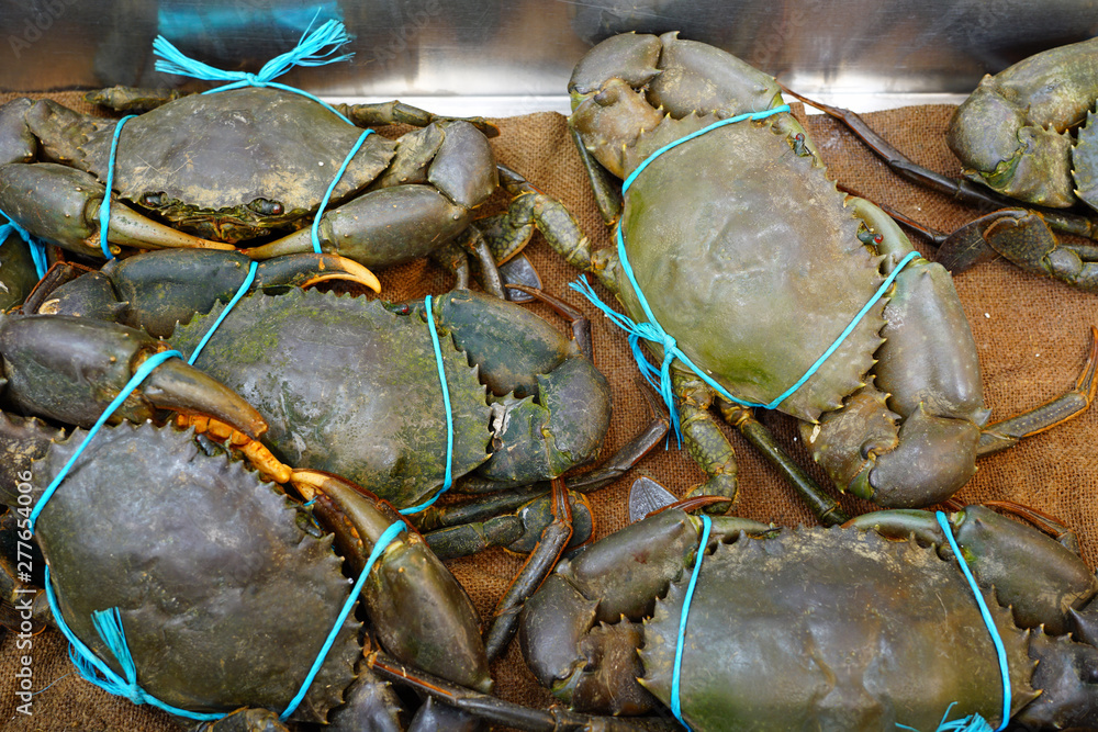 Mud crab (Scylla serrata) for sale at a seafood market in Sydney ...