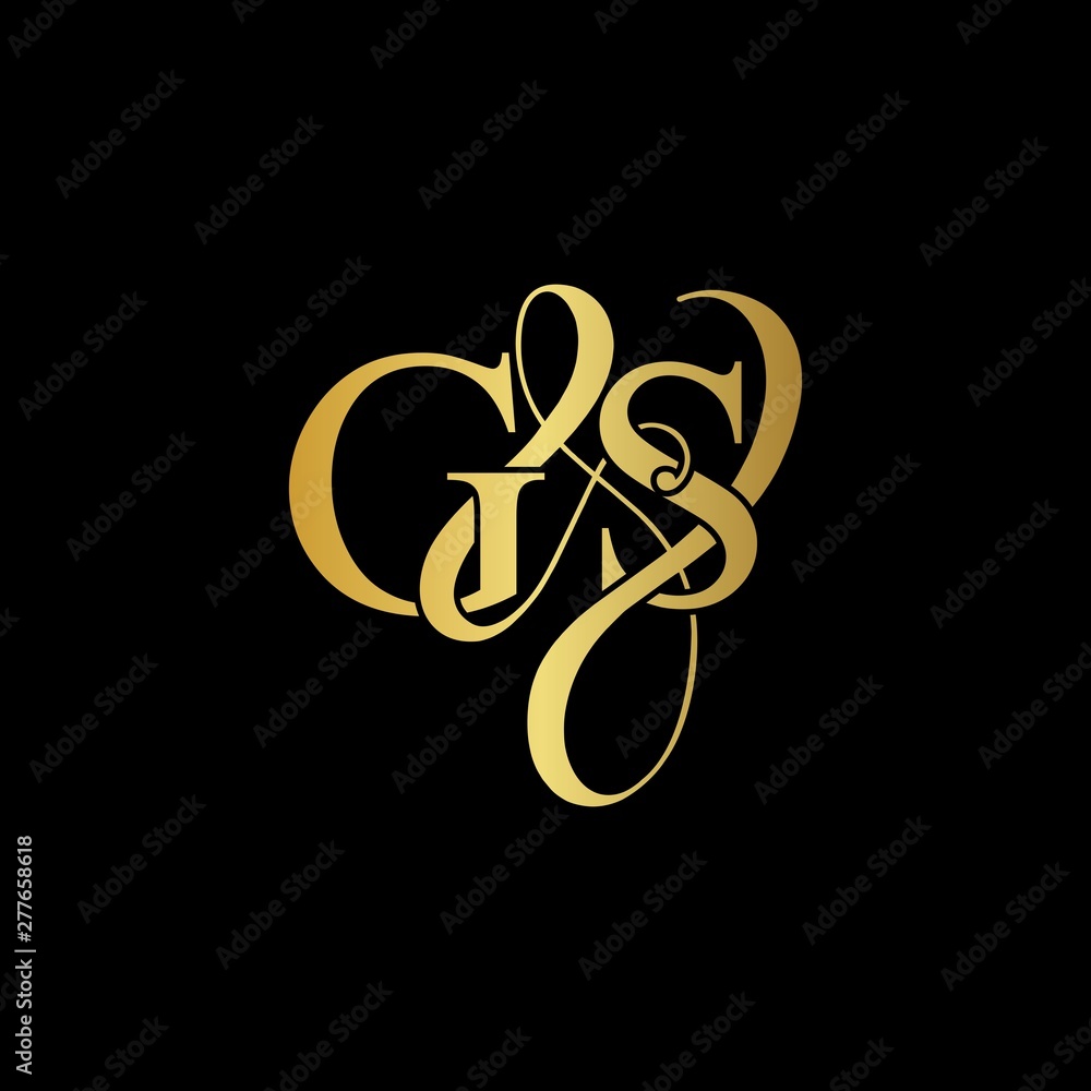 G & S / GS logo initial vector mark. Initial letter G and S GS logo ...