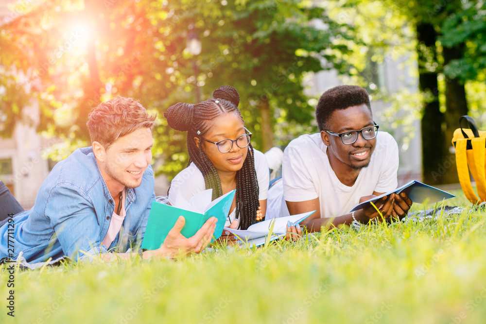Front view of three happy multiethnic students lying, talking, joking ...