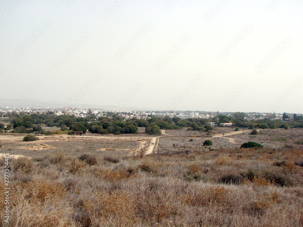 Panorama of poor vegetation on the coastal saline lands on the ...