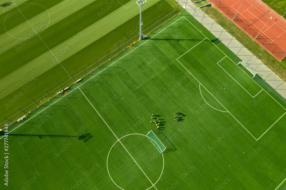 Professional Soccer Field View