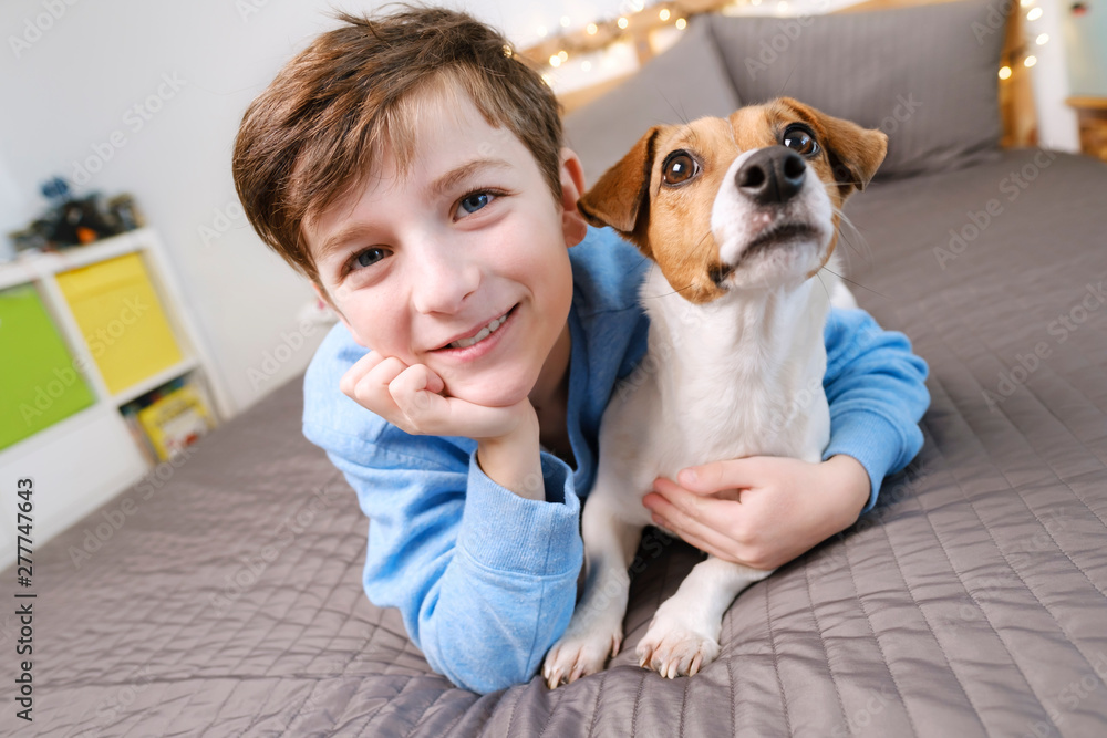 Portrait of a happy boy and his dog breed Jack Russell Terrier, who sit ...