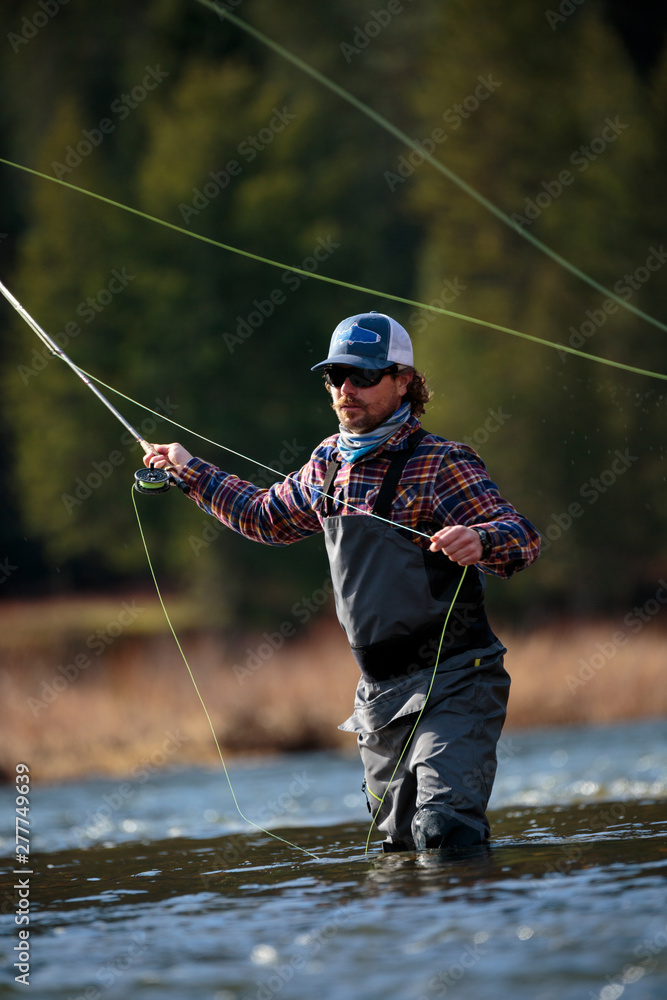 A male flyfisher wearing waders casts into the confluence of the Lochsa ...
