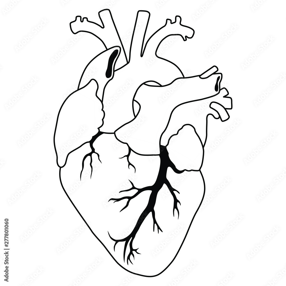 Black And White Human Heart Image