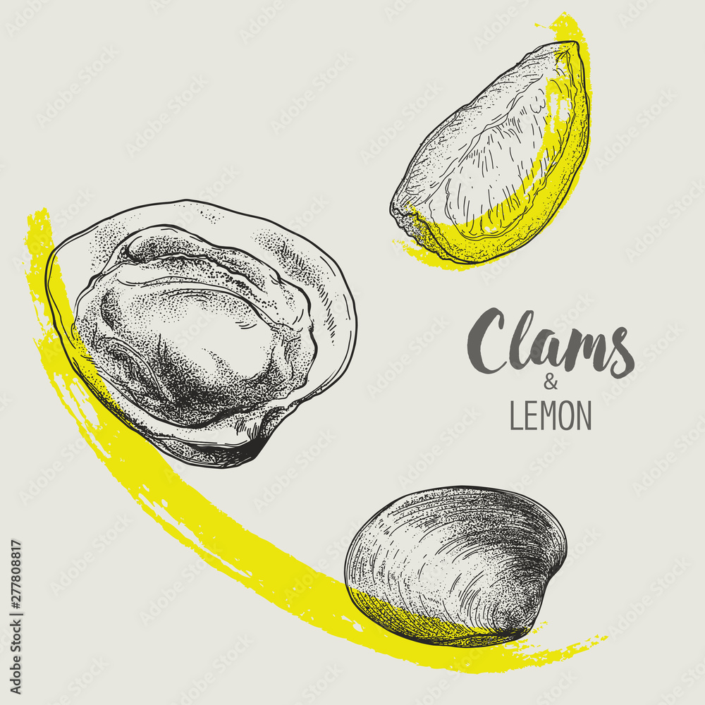 Vector clams illustration sketch by hand-drawn style. Handcrafted ...