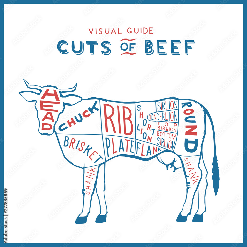 vector cuts of beef cow logo red blue on white monogram vintage Stock ...