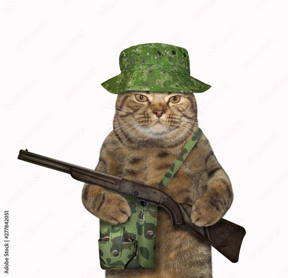 The cat ranger in military uniform with a hunting bag is holding a ...
