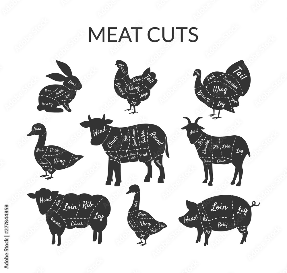 Meat Cuts Set, Farm Animals and Poultry with Meat Cuts Lines, Vintage ...