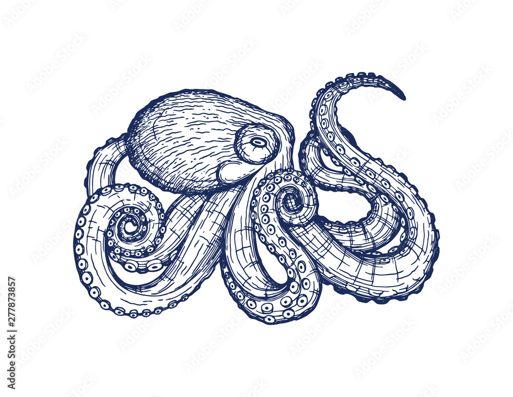 Ballpoint Pen Art Animals