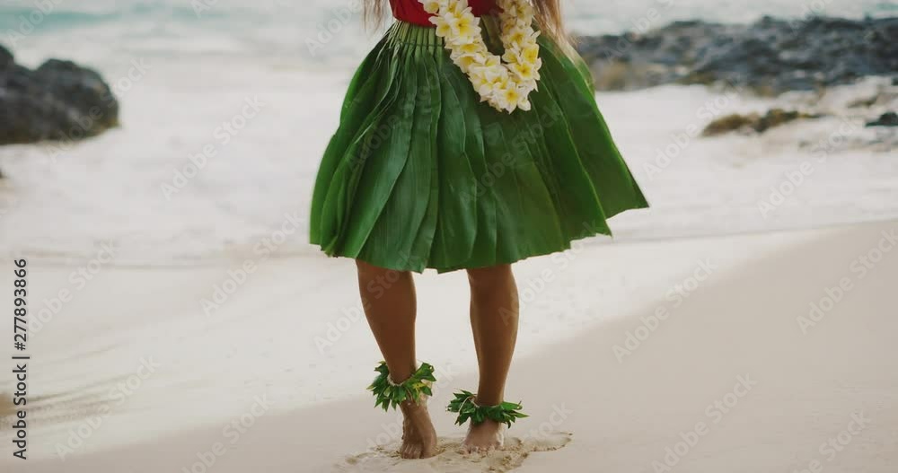 Shot of a Hula dancer's legs with a ti leaf skirt and ankle haku lei's ...