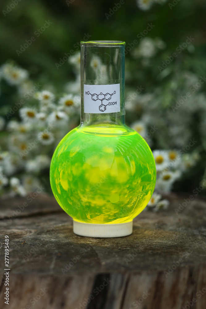 Fluorescent green dye in a round bottom flask, with a chemical ...