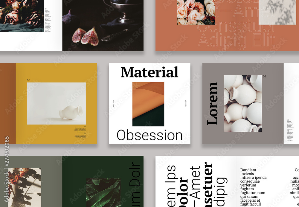 Modern Design Lookbook Layout Stock Template | Adobe Stock