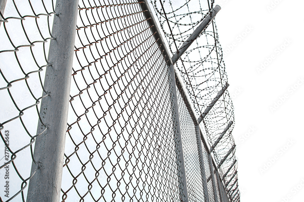 Texture the cage metal net isolate on white background. fence with ...