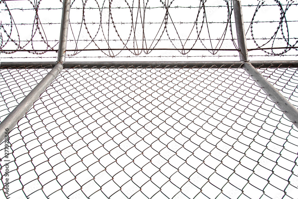 Texture the cage metal net isolate on white background. fence with ...