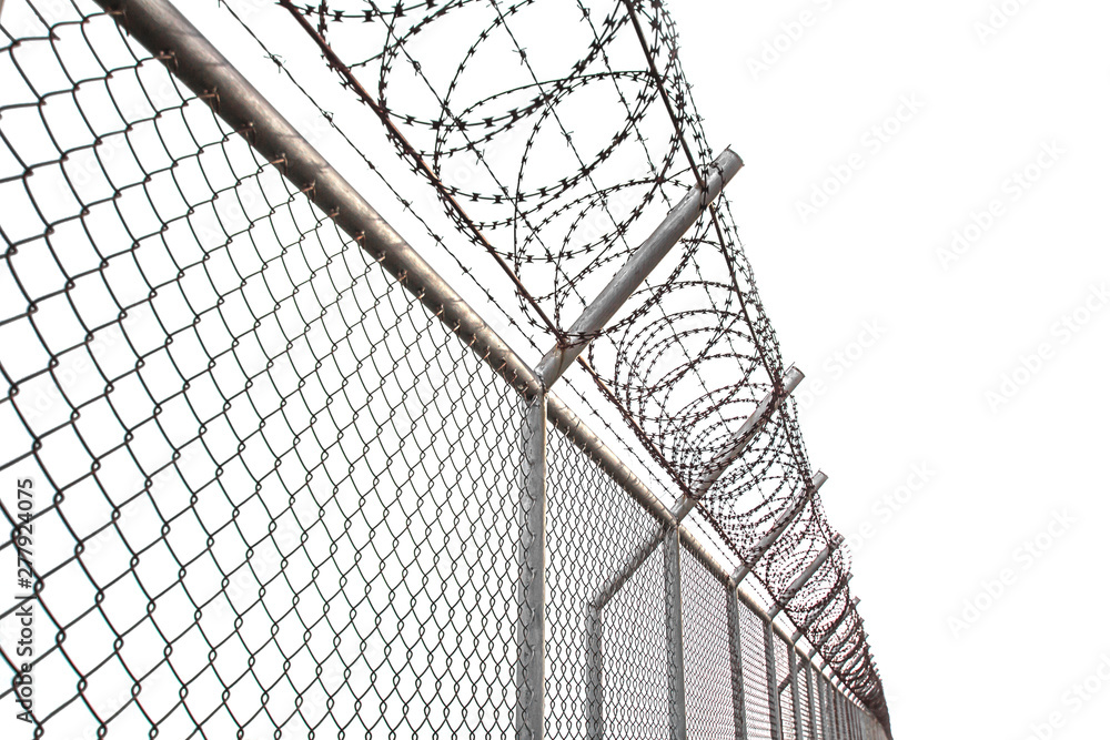 Texture the cage metal net isolate on white background. fence with ...