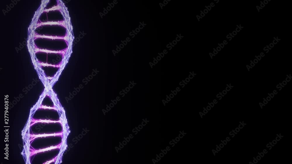 Abstract isolated pink purple violet binary digital plexus DNA molecule ...