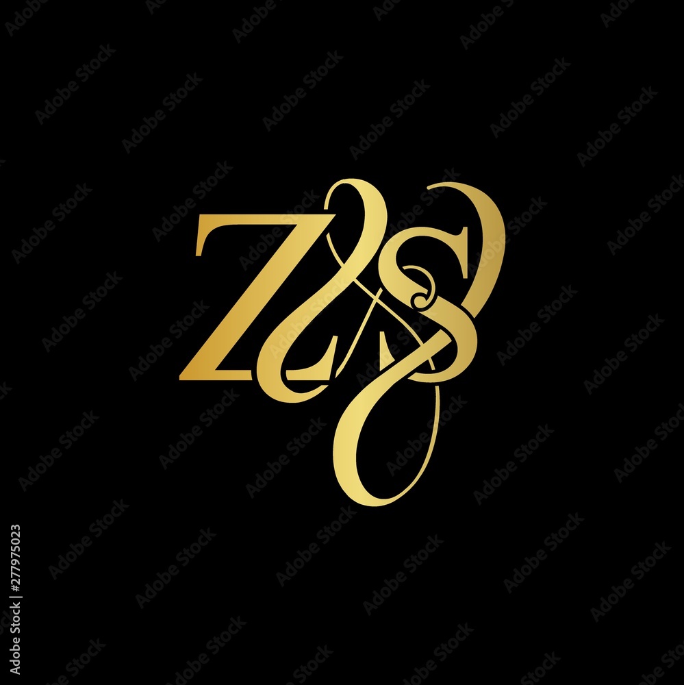Vecteur Stock Z & S ZS logo initial vector mark. Initial letter Z & S ...